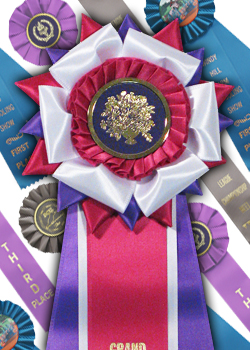 Personalized Ribbons | Award Ribbons, Ribbon Rolls, Event Ribbons