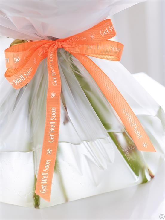 Bringing Cheer with Custom Ribbons - Ribbon Impressions