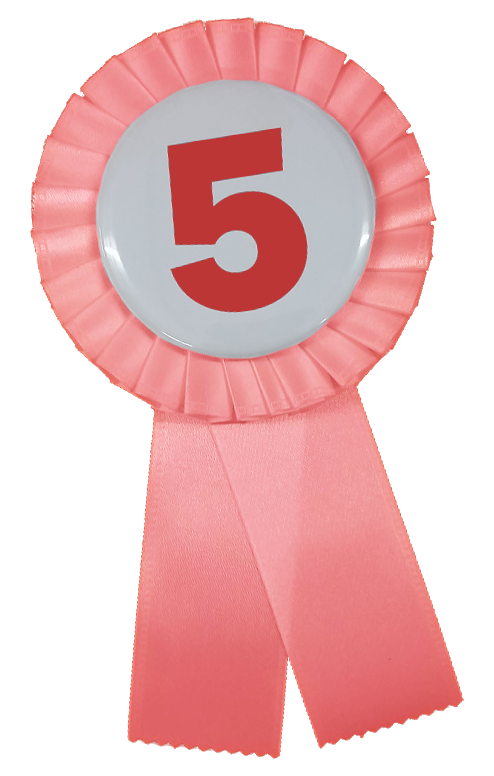 Pageant Ribbons for Your Event Preparation - Ribbon Impressions