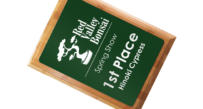 Fairs and Festivals: Awarding Winners - Ribbon Impressions